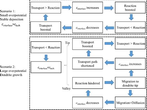 Figure 4 From Phase ﬁeld Simulations Of Lithium Dendrite Growth With Open Source Software