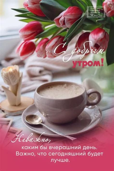 Доброе Весеннее Утро — картинки красивые 70 штук