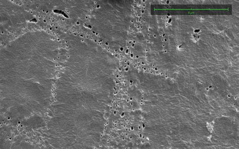Approaches For Optimizing SEM Imaging Of Nonconductive Samples Nanoscience Analytical