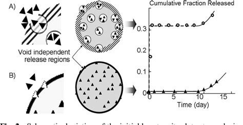Figure 2 From A Simple Model Framework For The Prediction Of Controlled Release From Bulk