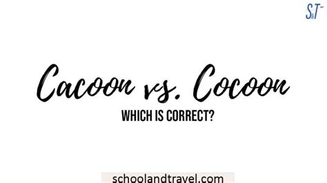 Drivable Vs Driveable Which Is Correct