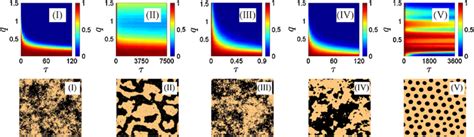 Color Online Top Row Intensity Correlation Function Corrðq Þ From