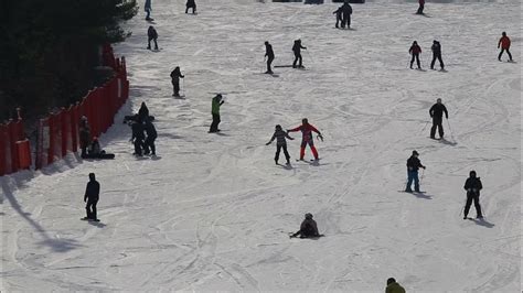 강원도 겨울여행 놀거리 정선 하이원 리조트 스키장 Youtube