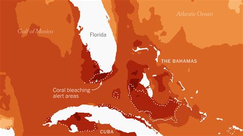 Florida Ocean Temperatures Are In The 90s Fahrenheit Posing Risk To Coral The New York Times