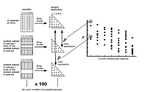 Schematic Representation Of The Randomisation Approach The Full