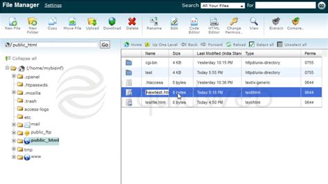 How To Rename Files In File Manager Liquid Web
