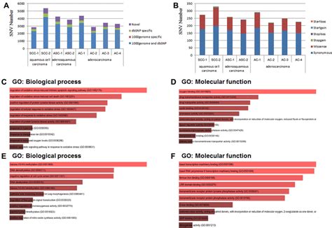 Snv Single Nucleotide Variant Analysis A Distribution Of Total