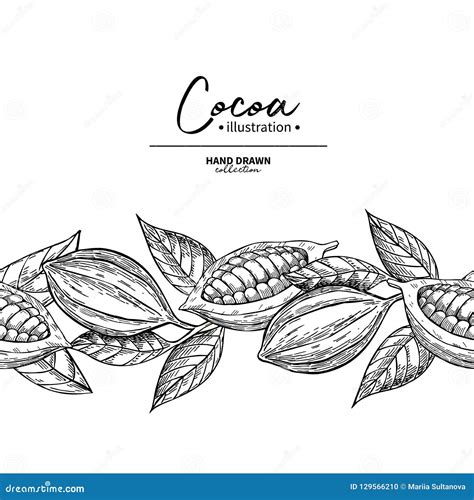 Cocoa Border Vector Superfood Drawing Template Stock Vector