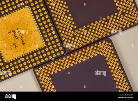 Legacy Intel Amd Pc Processors Showing Gold Pinout Staggered Pga