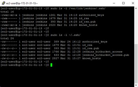 Error 128 When Trying To Clone A Git Repository Using Jenkins Stack