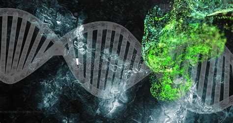 Dna Strand And Green Particles Scientific Data Processing Animation Stock Footage Video Of