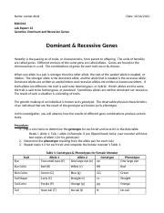 Lab Report 12 Genetics Doc Name Jannat Afzal Date 10 24 2021 BIO1016 Lab Report 12 Genetics