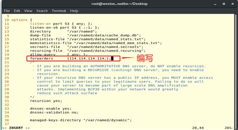 linux学习笔记——关于dns中高速缓存、正反向及双向解析、辅助dns等企业dns服务器的搭建实验 linux dns nxdomain