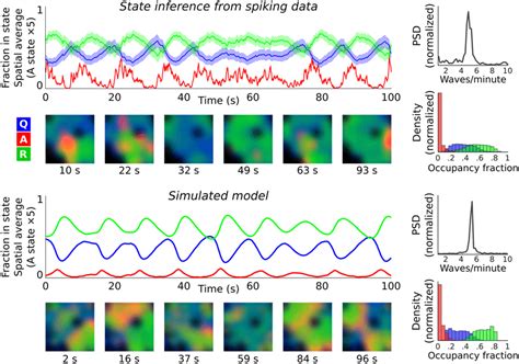 State Inference Via Filtering Retinal Datasets We Apply A Calibrated