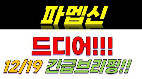 파멥신 주가전망 1219 드디어 긴급브리핑 Youtube