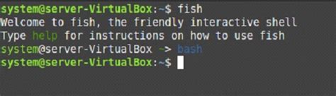 Install Fish Shell On Linux Mint Linux Genie
