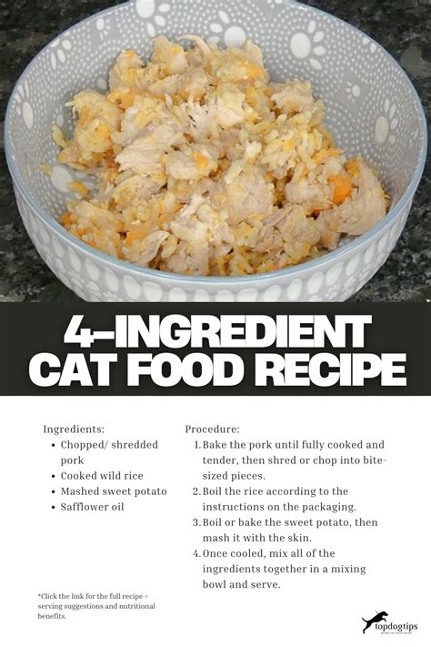 Best 13 5 Irresistible Homemade Cat Food Recipes Your Feline Will Love
