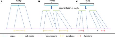 Three Typical Kinds Of Spliced Alignment With Read Length Of 100 Bp