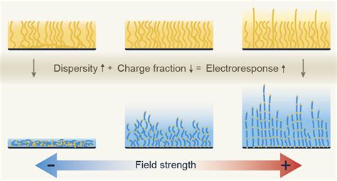 Molecular Design Strategies To Enhance The Electroresponse Of Polyelectrolyte Brushes Effects
