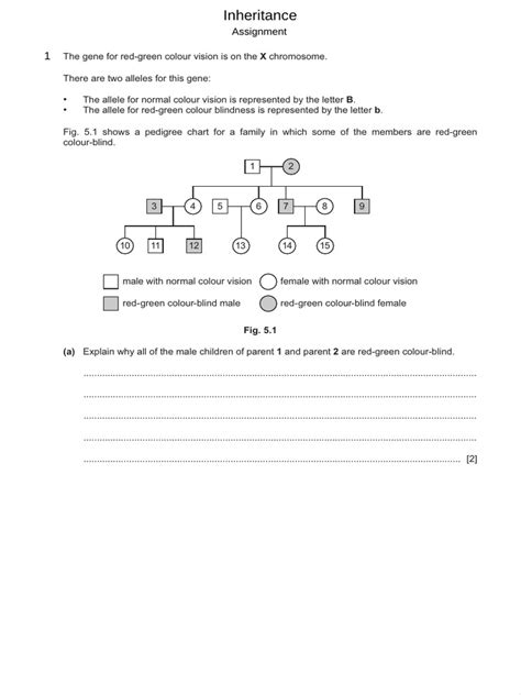 Inheritance Assignment 1 Pdf Genotype Allele