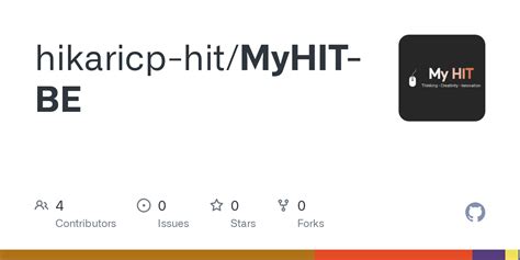 GitHub Hikaricp Hit MyHIT BE