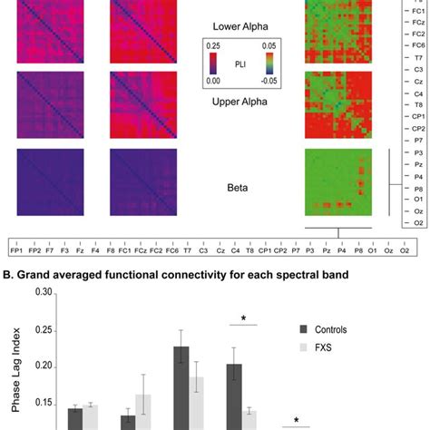 Global Functional Connectivity As Indexed By The Phase Lag Index Pli Download Scientific