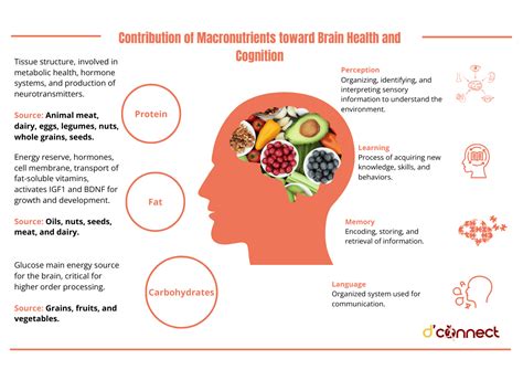 Diet For A Healthy Brain Dconnect
