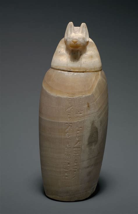 Cartouche Egyptian Ancient Canopic Jar Jackal Stores Headed God