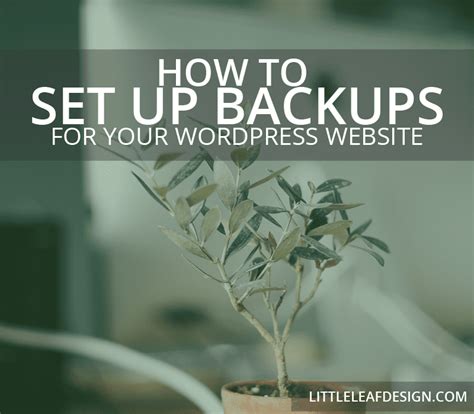 how to set up backups of your wordpress website little leaf design