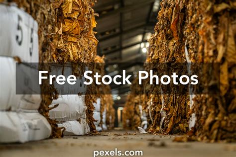 Agricultural Goods Drying Area Photos Download The Best Free