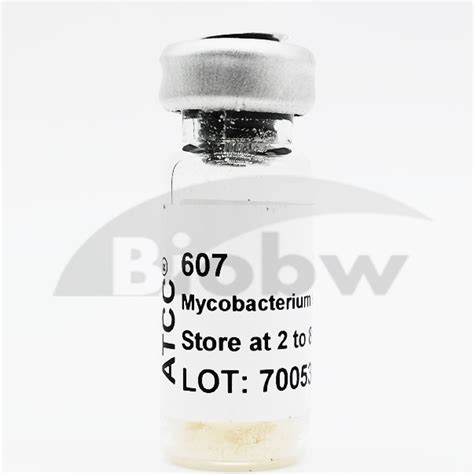 耻垢分枝杆菌 美国atcc Atcc菌种类 微生物菌种查询网 Atcc 菌种 质粒 细胞系