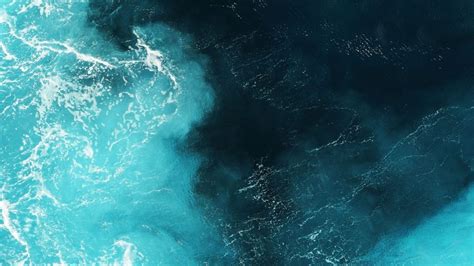 Discover Your True Potential With Emotion Code Caroline Gladding