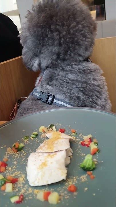 안먹을꺼야 Youtube