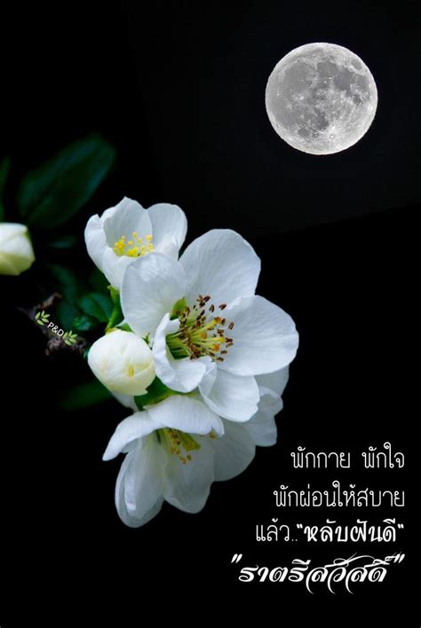 หลับฝันดี😴 ในปี 2022 ฝันดีราตรีสวัสดิ์ ราตรีสวัสดิ์ การ์ตูน