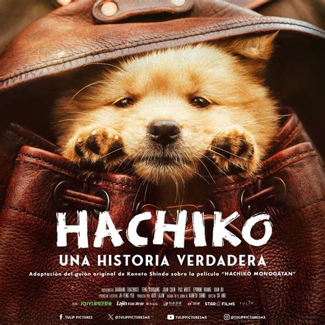 Hachiko Una Historia Verdadera Película 2023 Mx