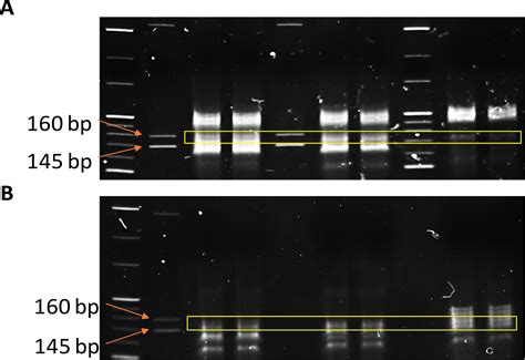 sequencing small non coding rna from formalin fixed tissues and serum