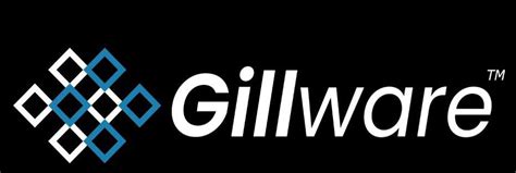 Gillware Data Recovery Review And The Best Alternative