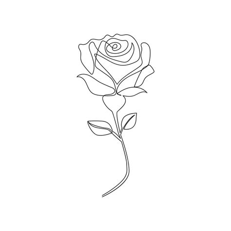 Premium Vector Continuous One Line Drawing Rose Flower Outline Vector