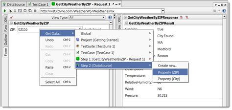 Working With ReadyAPI SoapUI
