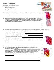 Week Anim Cardiac Conduction Worksheet Cardiac Conduction To Complete This Worksheet Select