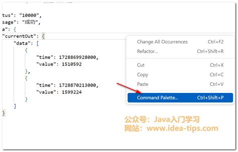 Vscode如何更改文件语言模式为json格式 Java入门学习 博客园