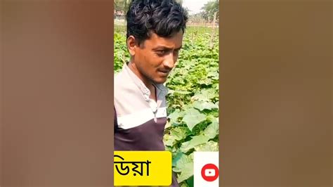হান্নান ভাই শসা চাষ করে দুই লক্ষ টাকা লাভ করেছেন Shortsfeed Youtube