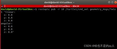 Ros通信实操（小乌龟通信实现）（九）c、python采用参数通讯方式编写一个节点控制乌龟的的颜 色和绘制的线条乌龟相关信息在