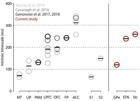 Hierarchical Organization Of Intrinsic Timescales Of Cortical And Download Scientific Diagram