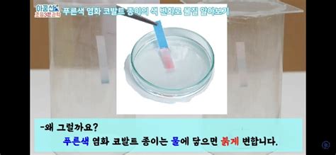 교사의 성장 파트너 쌤동네