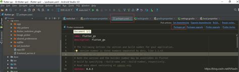Flutter——从git上clone一个flutter工程的一些后续配置git Flutter Csdn博客