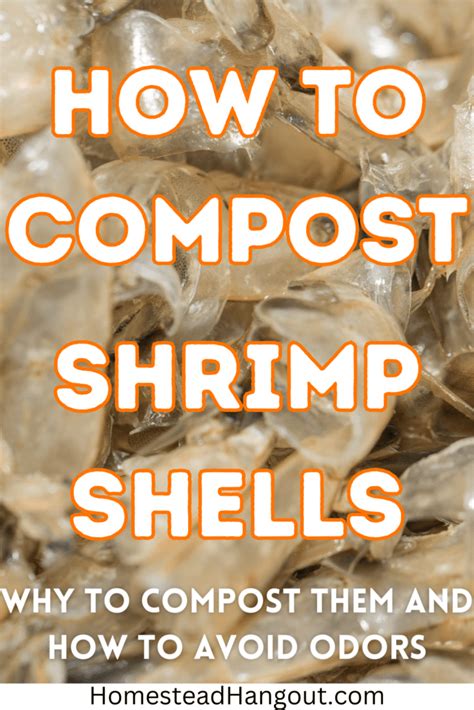 Can You Put Shrimp Shells In The Compost Bin The Homestead Hangout