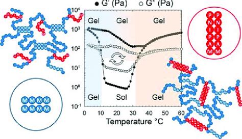 Temperature Dependence Of Dynamic Modulus G′ Filled Symbol And G