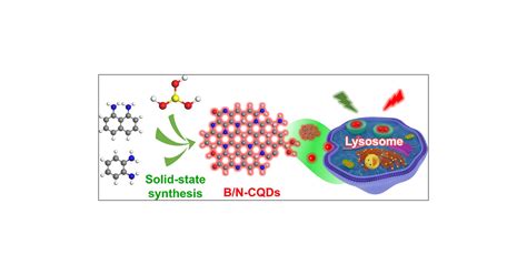 Boron Dopants In Red Emitting B And N Co Doped Carbon Quantum Dots
