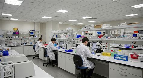 화이트 실험실 코트의 과학자들은 밝은 실험실에서 일합니다 과학적 연구 실험실 작업 실험실 기술자 배경 일러스트 및 사진 무료 다운로드 Pngtree